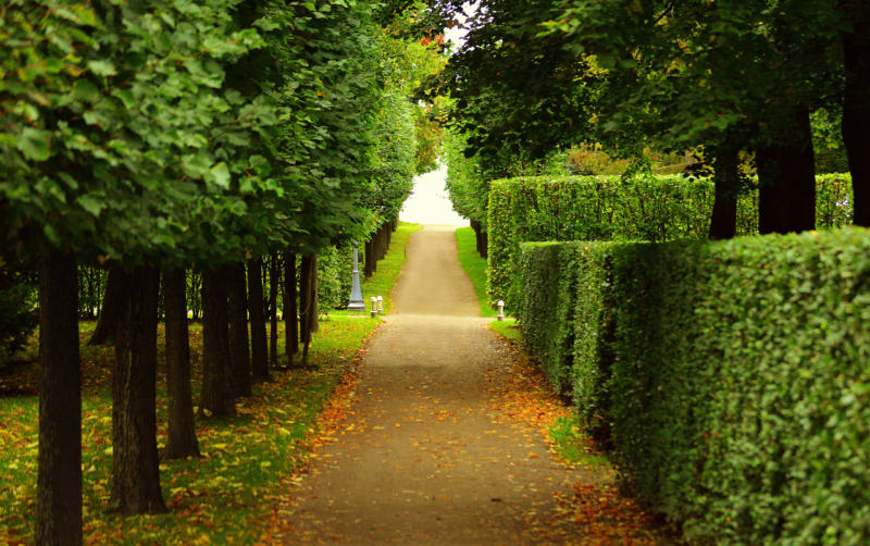 Joseph's Tree Work – Top End Tree Service